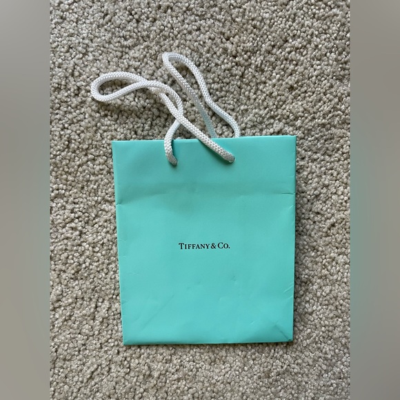 Tiffany & Co. | Accessories | Tiffany Co Signature Gift Bag | Poshmark